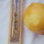 KitchenIQ Better Zester Giveaway/Review – Homemade Delish